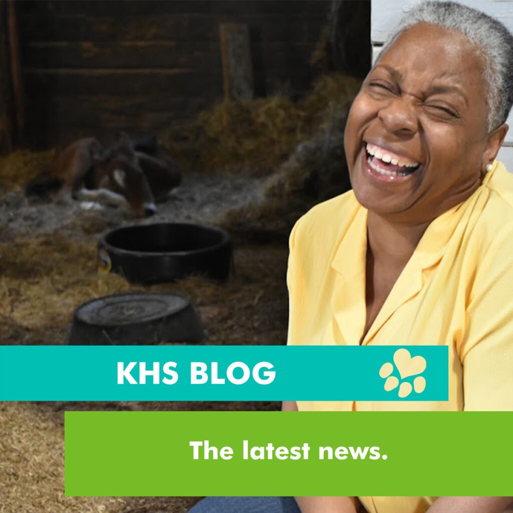 Employment - Kyhumane