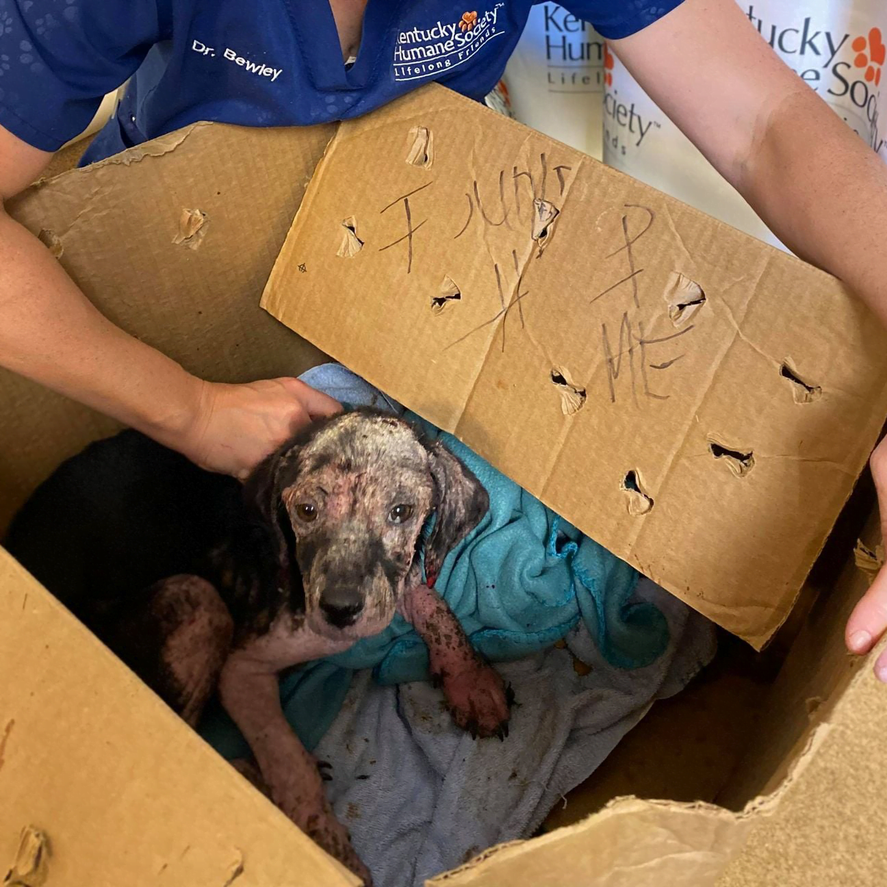 Puppy with “FOUND HELP ME” Sign Dumped at KHS