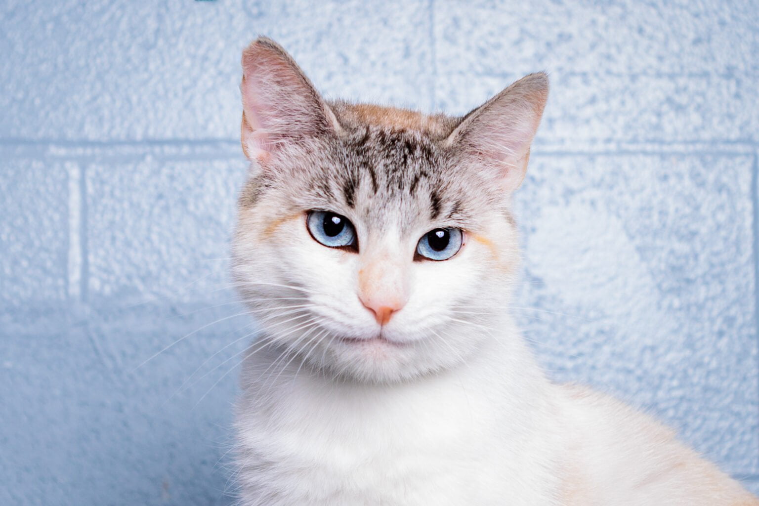 Locations & Hours - Kyhumane