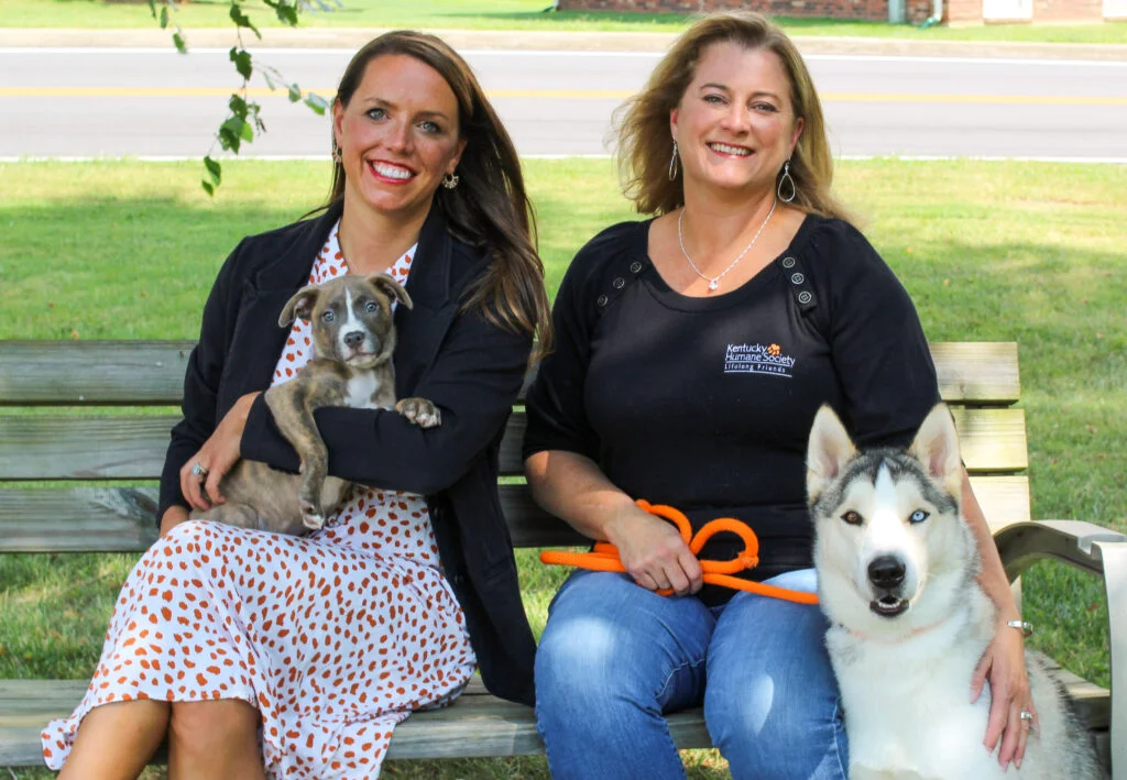 Alisa Gray to Become President & CEO of the Kentucky Humane Society ...