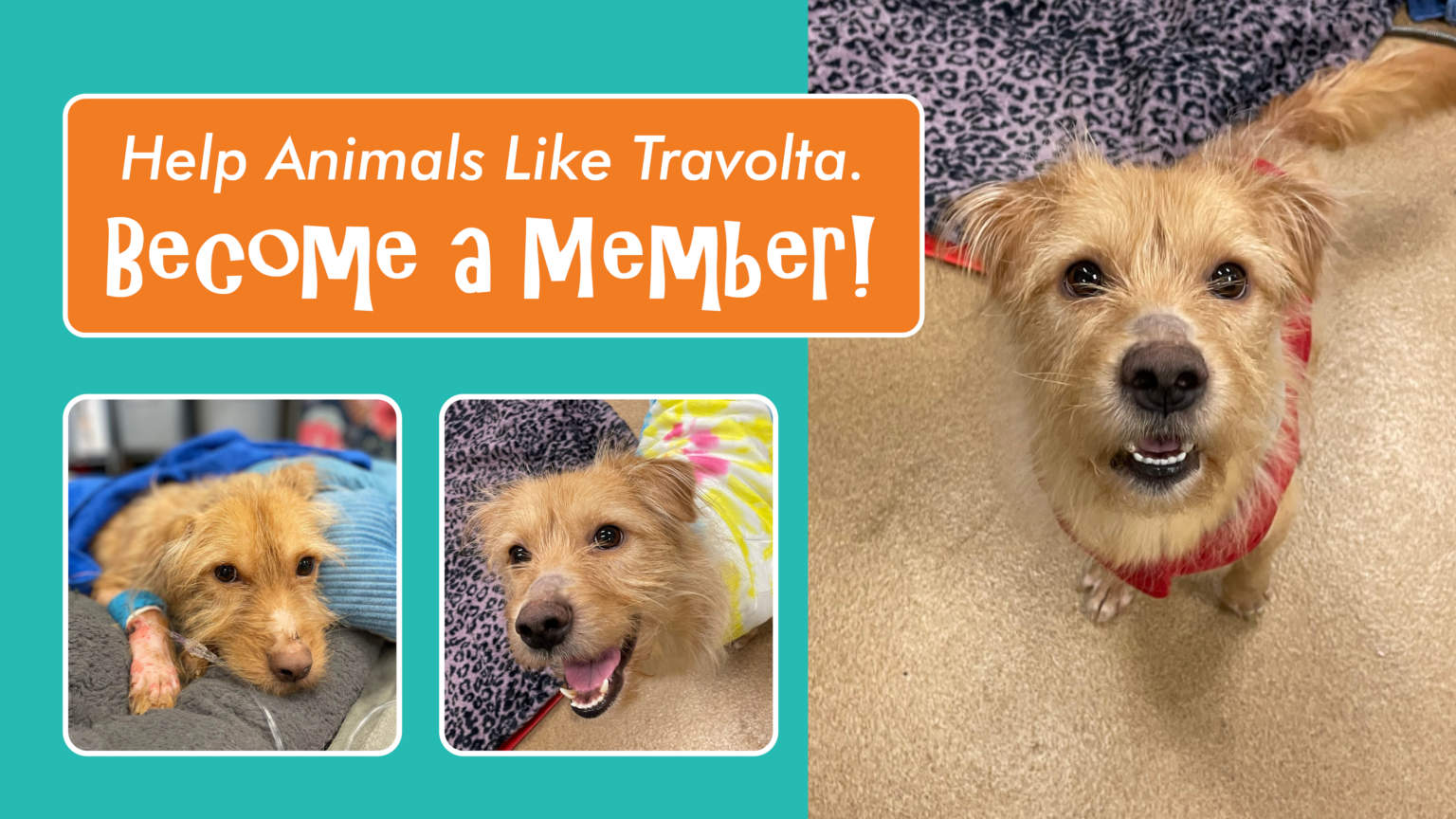 Donate - Kyhumane