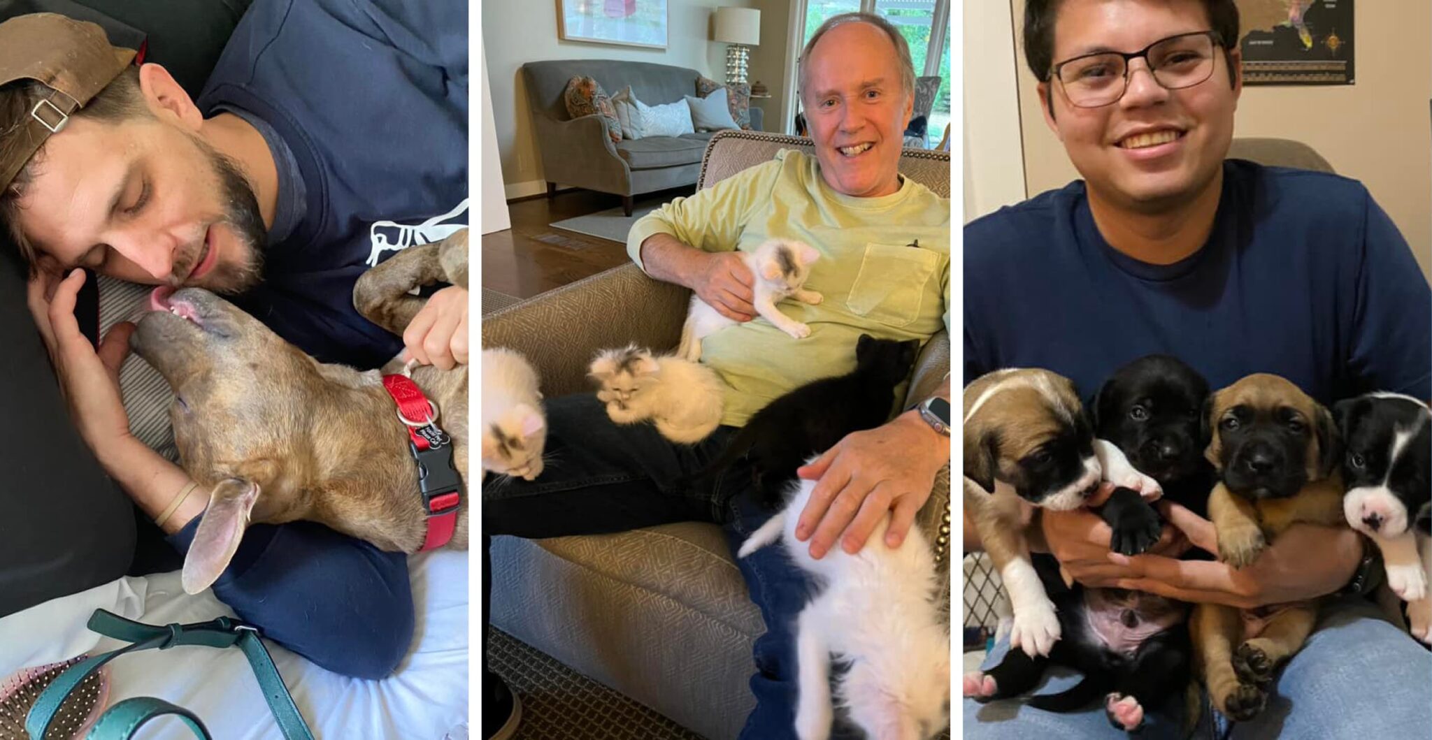 Celebrating Our Fabulous Foster Dads - Kyhumane