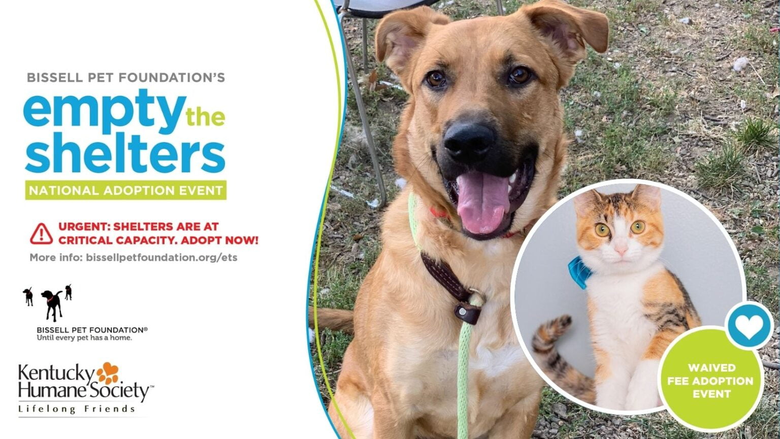 No Adoption Fees on Adult Dogs and Cats October 5-14 - Kyhumane