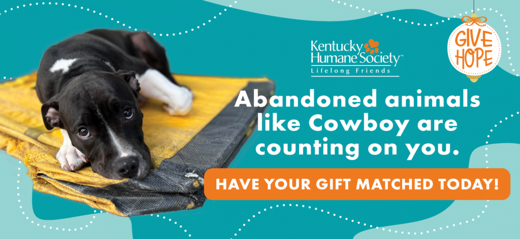 Support KHS - Kyhumane