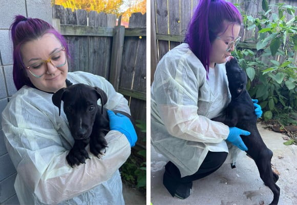 Turning Their Tragedy into Triumph: KHS’ Resilient Pups - Kyhumane