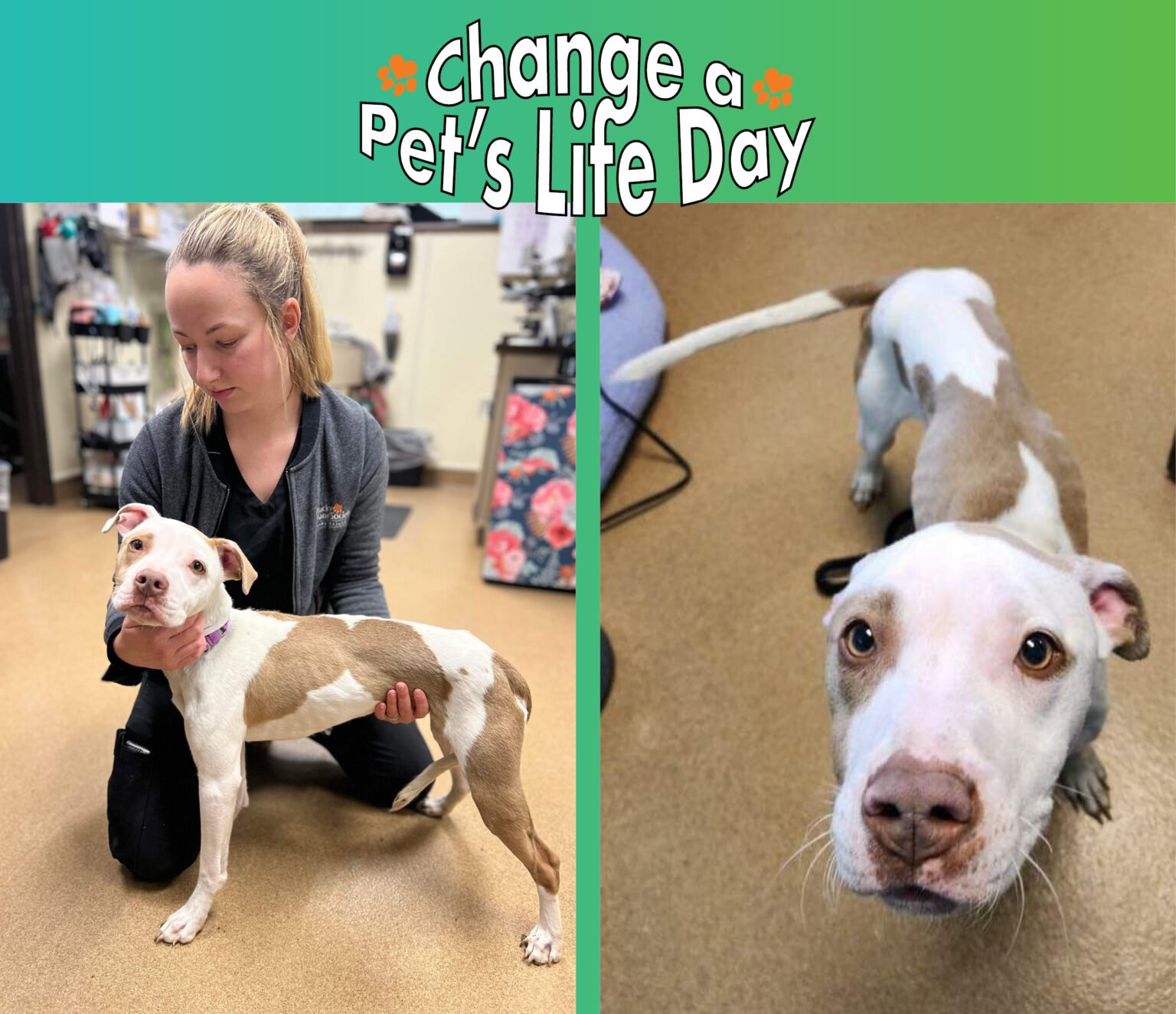 Happy Change a Pet's Life Day! - Kyhumane