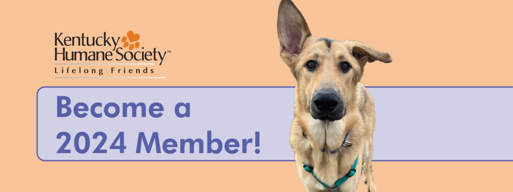 Support KHS - Kyhumane