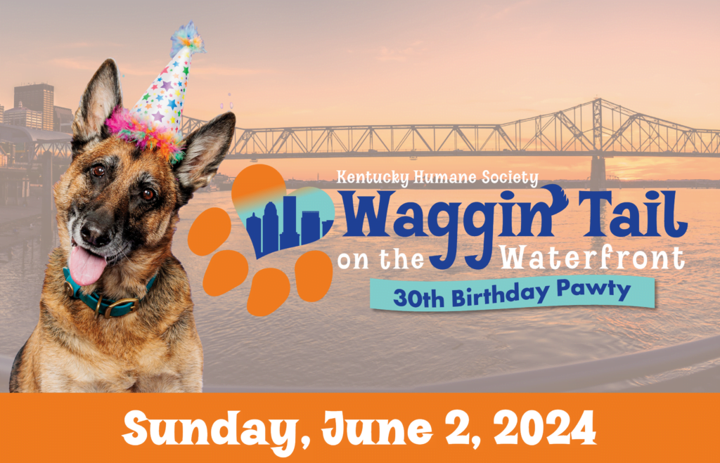 Waggin' Tail on the Waterfront - Kyhumane