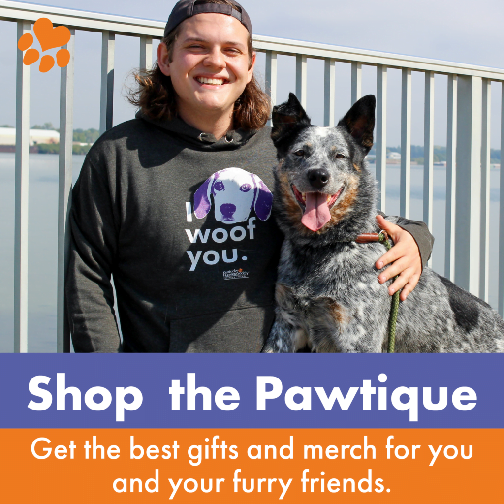 How to Adopt - Kyhumane