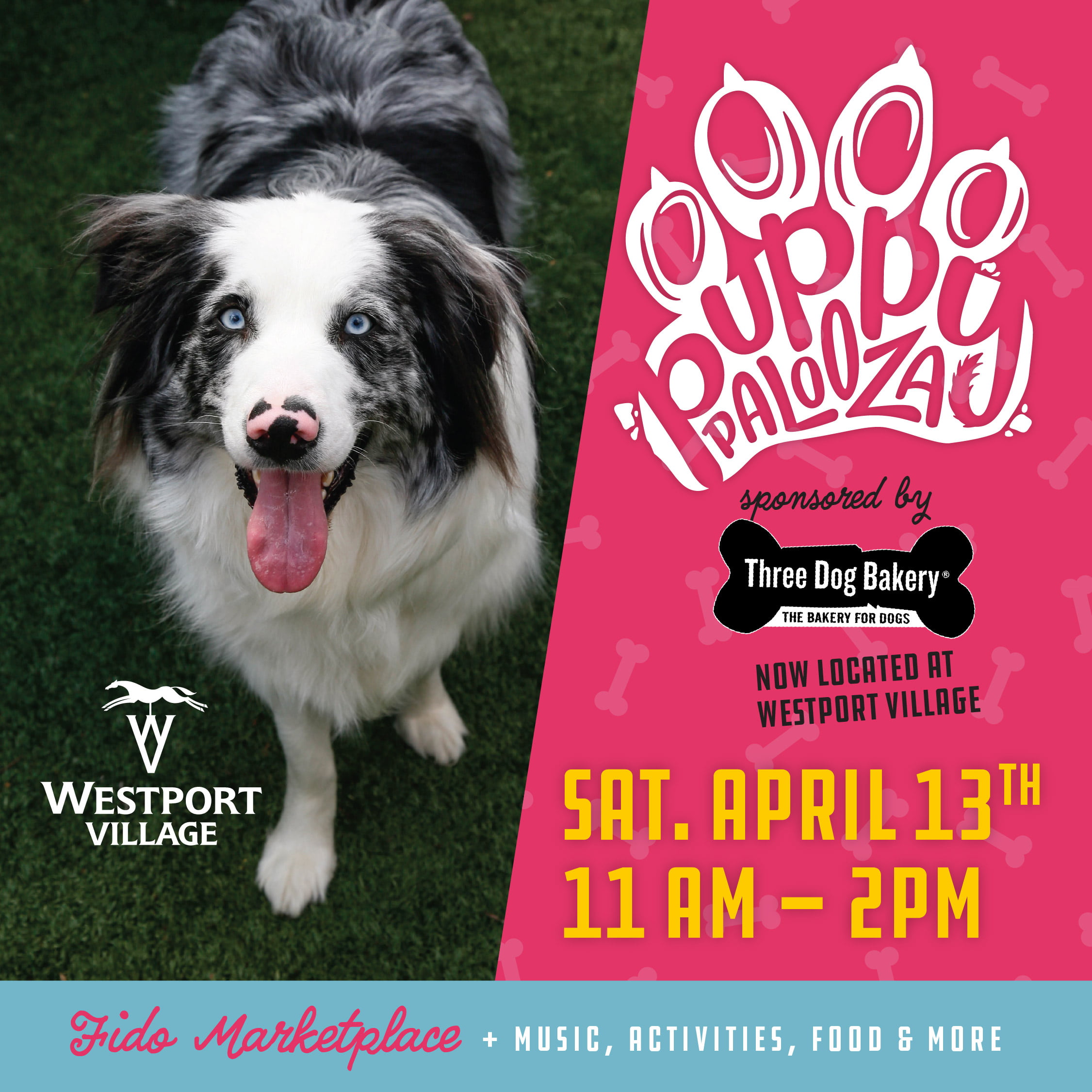 Puppy Palooza - Kyhumane