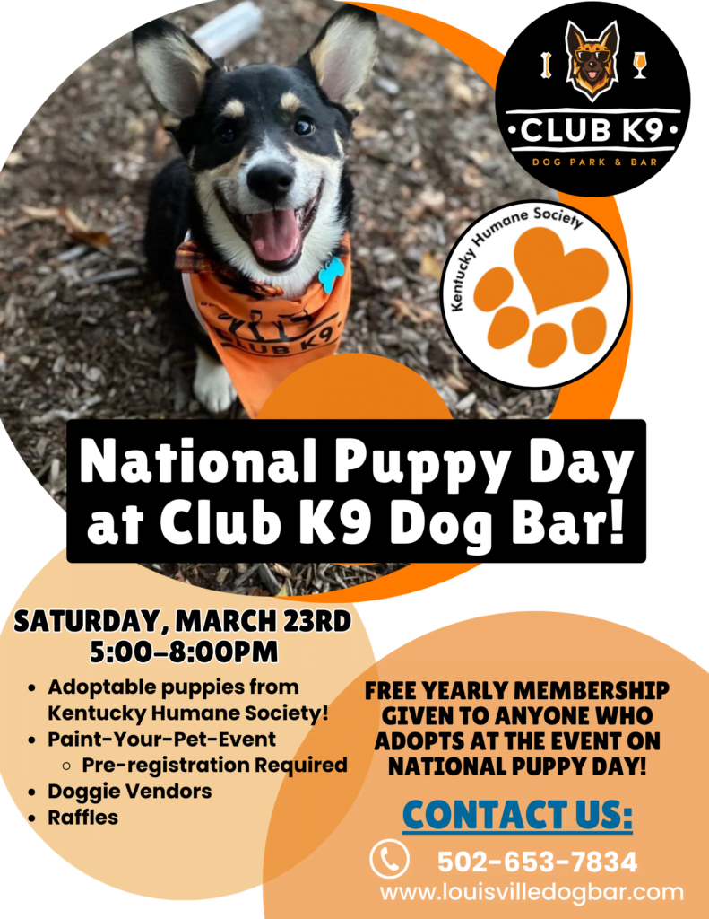 National Puppy Day at Club K9 - Kyhumane