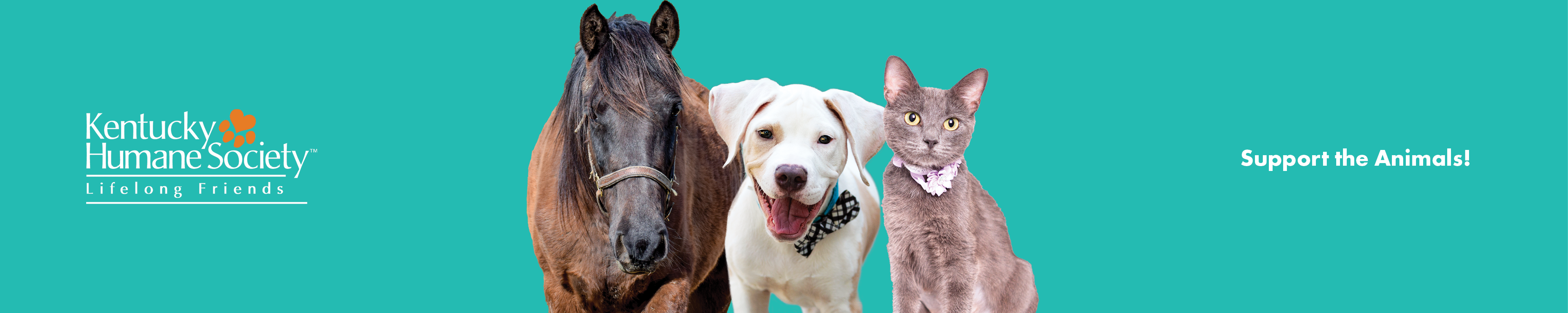 Donate - Kyhumane