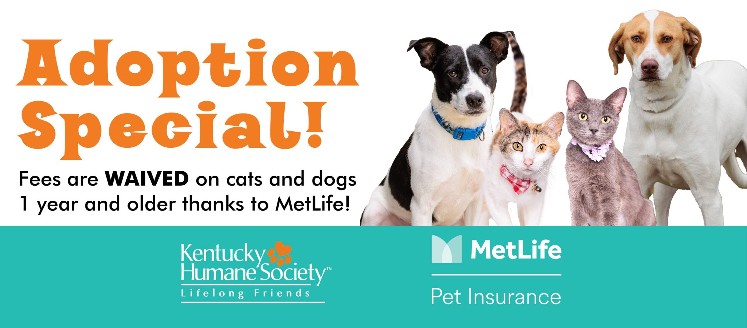 WAIVED Adoption Fees Sponsored by MetLife Pet Insurance! - Kyhumane