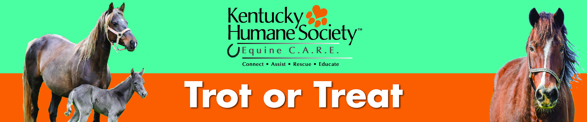 Trot or Treat at Willow Hope Farm - Kyhumane
