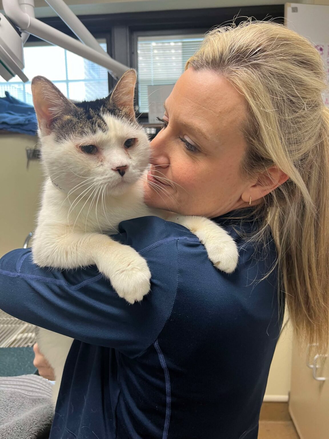 Seven-Year-Old Cat with Birth Defect Gets Relief from Lifelong Pain ...