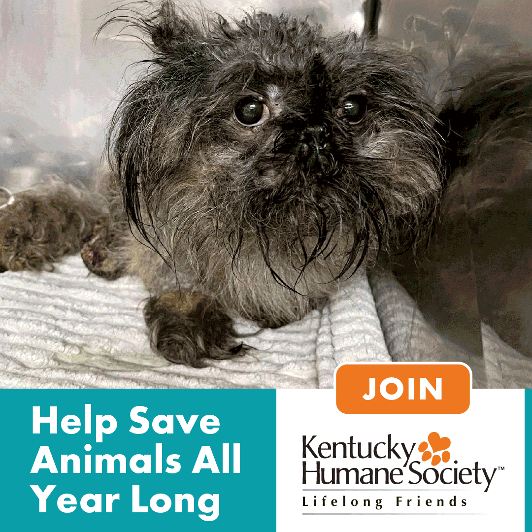 Support KHS - Kyhumane