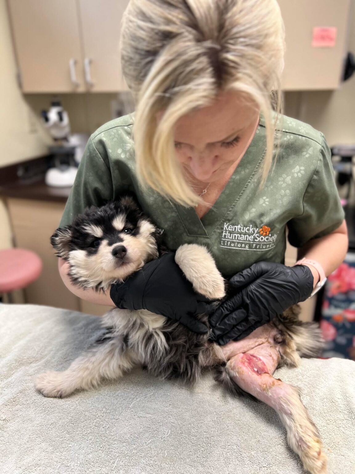 Mother/Daughter Duo Arrive at KHS in Need of TLC - Kyhumane