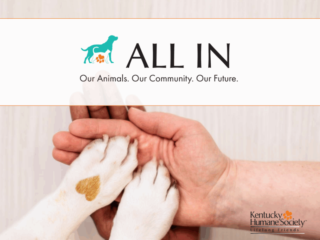 ALL IN for a New Animal & Community Campus - Kyhumane