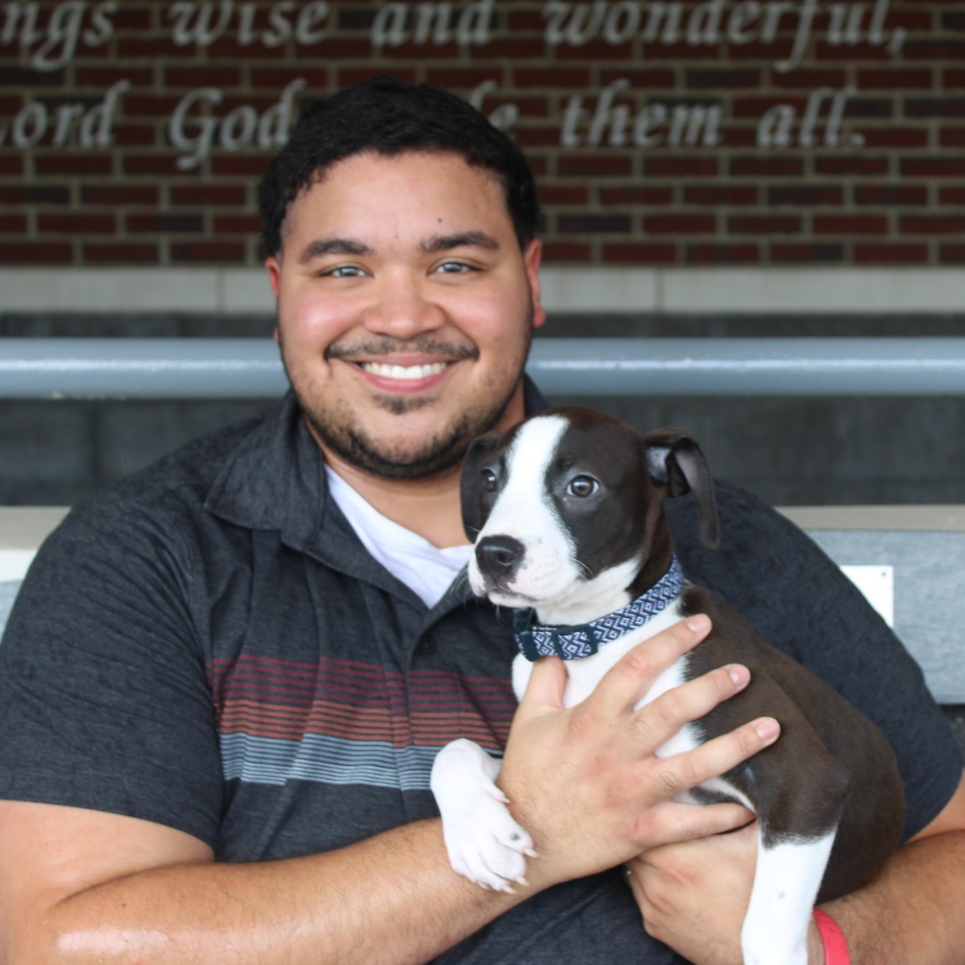 Dog Training For You And Your Dog - Register Today!