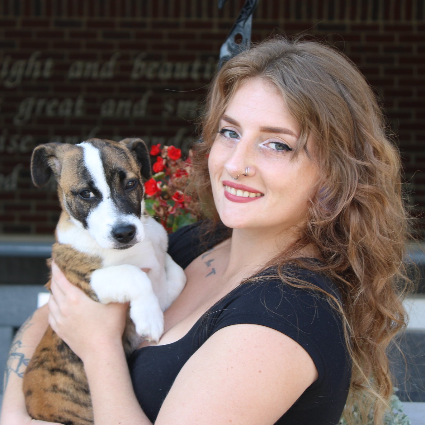 Dog Training For You And Your Dog - Register Today!