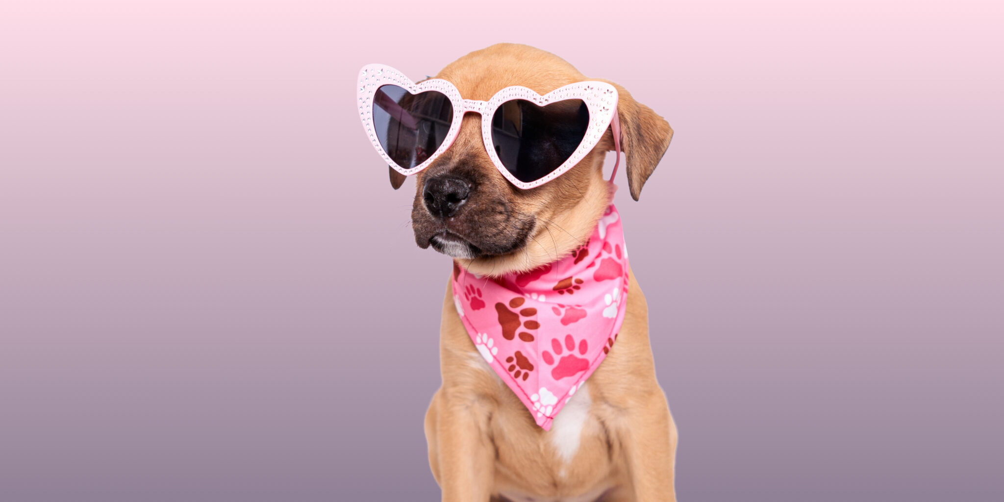 Galentine's Day at Westport Village - Kyhumane